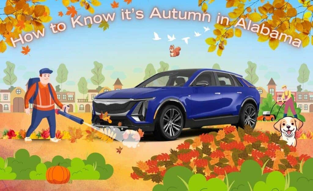How To Know It's Autumn | Mullinax Cadillac