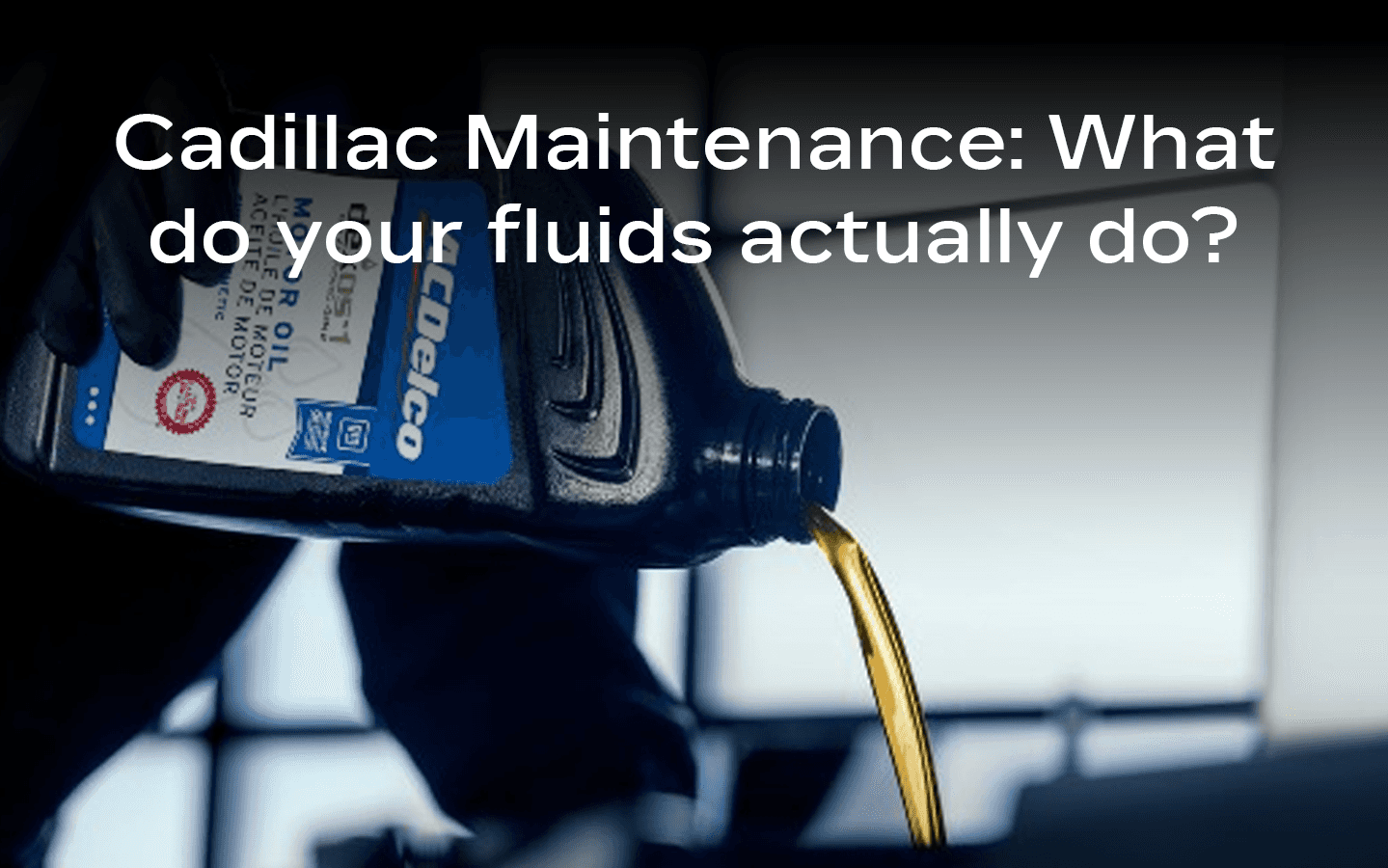 Cadillac Fluid Maintenance in Schaumburg, IL | Patrick Cadillac Service
