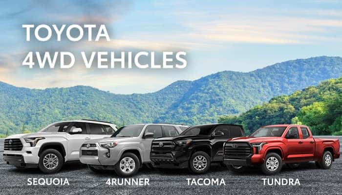 The Difference Between AWD and 4WD | Shepard Toyota