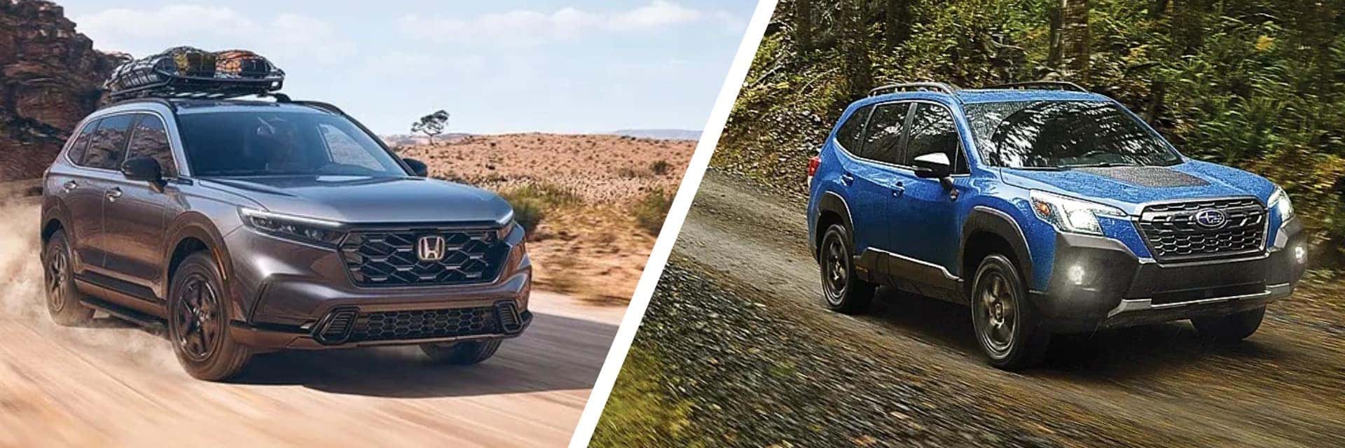 Subaru Forester Vs Honda Crv 2023null